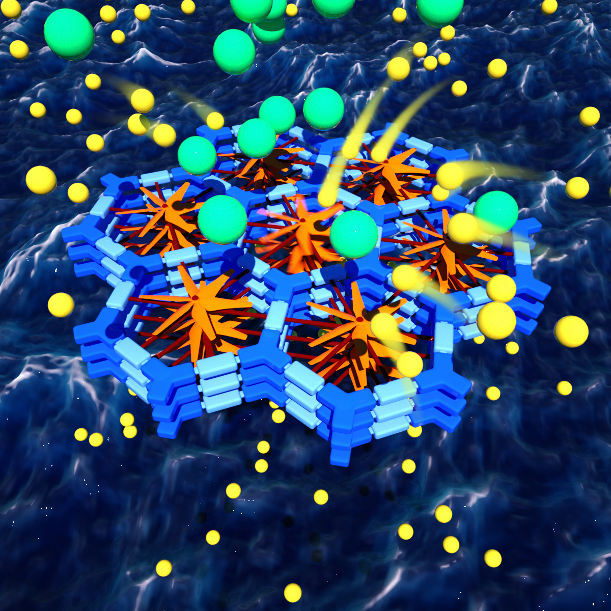 浙江大学孙琦课题组 - 浙江大学孙琦课题组