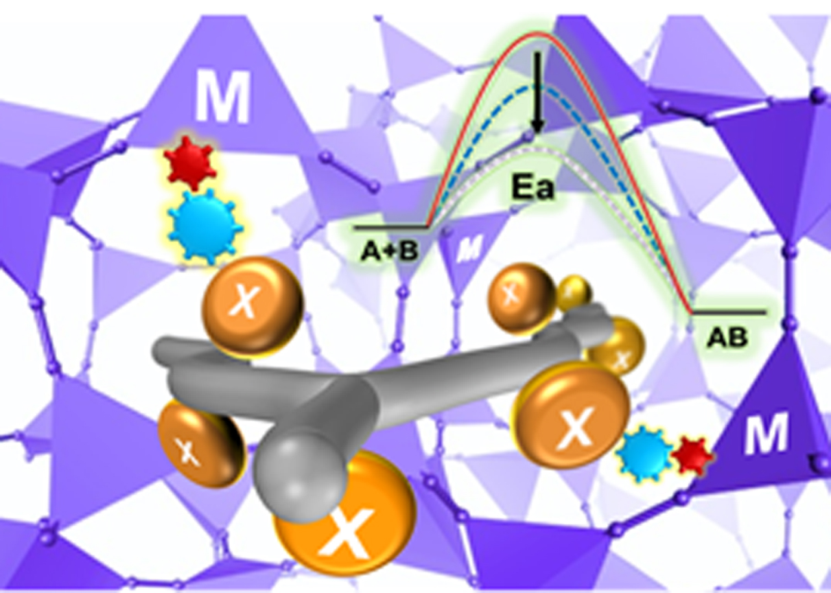浙江大学孙琦课题组 - 浙江大学孙琦课题组